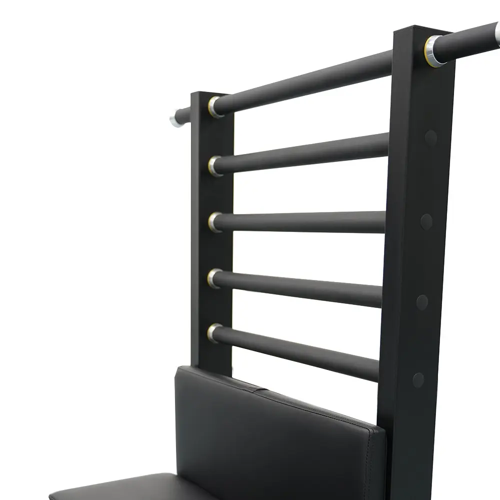 Pilates Training with FlexCore Ladder Barrel丨Bilink Pilates